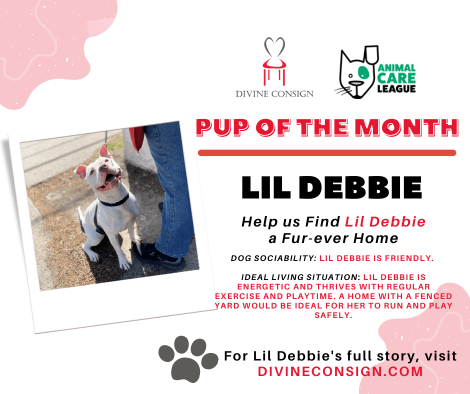 Pup Of The Month - July - Meet Lil Debbie - Divine Consign - A ...